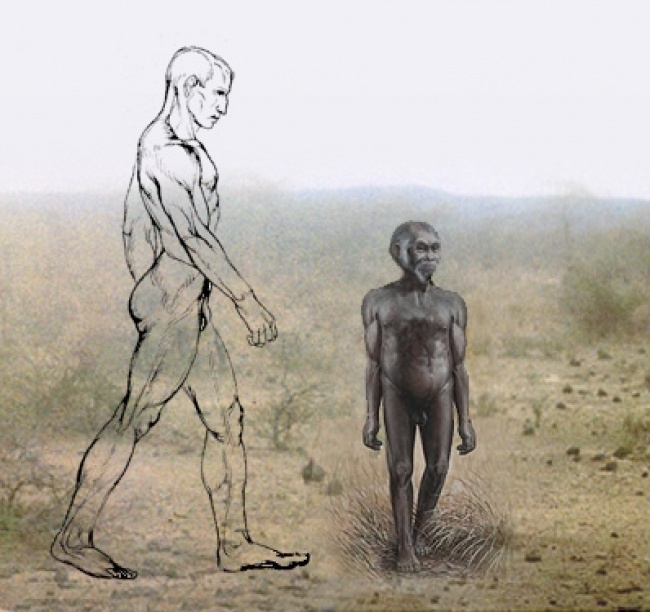 Hobbit Flores, Spesies Baru Hominin | tempo.co