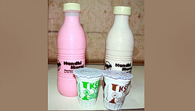 Kemarau, Produksi Susu Sapi di Bandung Menurun Drastis | tempo.co