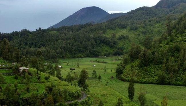 Panorama Semeru | tempo.co