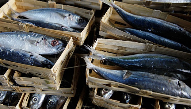 Di Bangkalan, Nelayan Pakai Pemutin untuk Mengawetkan Ikan | tempo.co