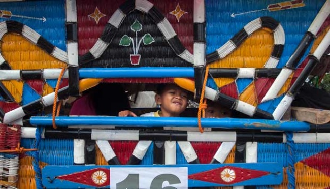 Para 'Bajingan' Pedati Sapi Ramaikan HUT Kemerdekaan RI | tempo.co