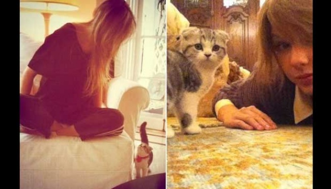 Selebritas Pecinta Kucing | tempo.co