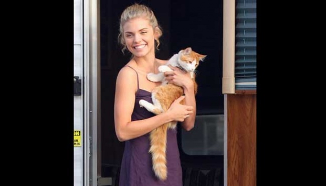 Selebritas Pecinta Kucing | tempo.co