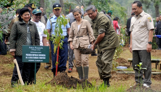 Menteri Kehutanan Minta Restorasi Hutan Didukung | tempo.co