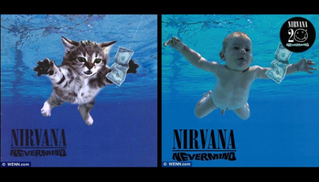 Gaya Lucu Kucing Menirukan Sampul Album Legendaris | tempo.co