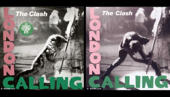 Gaya Lucu Kucing Menirukan Sampul Album Legendaris | tempo.co