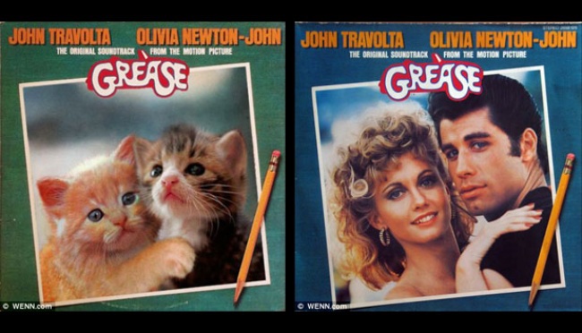 Gaya Lucu Kucing Menirukan Sampul Album Legendaris | tempo.co