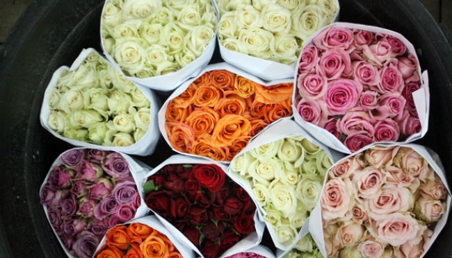 Jelang Valentine, Harga Mawar di Cina Melambung | tempo.co