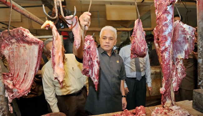 Tahun Ini, Impor Sapi Lewat Sistem Lelang Terbuka | tempo.co