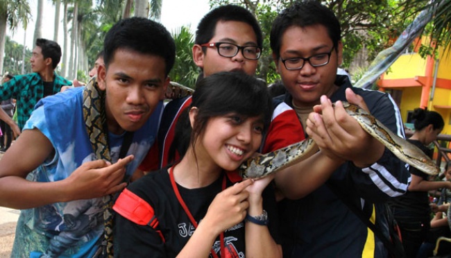 Ber-Car Free Day Ditemani ular | tempo.co