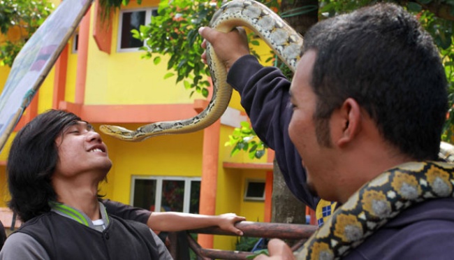 Ber-Car Free Day Ditemani ular | tempo.co