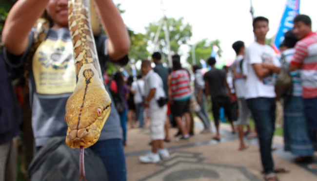 Ber-Car Free Day Ditemani ular | tempo.co