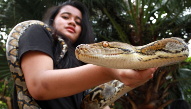 Ber-Car Free Day Ditemani ular | tempo.co