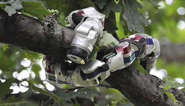 Robot Ular Ini Bisa Merangkak, Memanjat dan Berenang | tempo.co