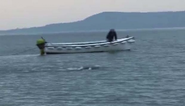 Monster Misterius Muncul di Lough Foyle Irlandia | tempo.co