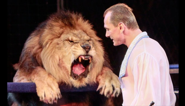 Pertunjukan Sirkus Pawang Singa Pemberani | tempo.co