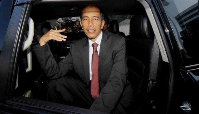 Mau Untung Besar dari Sengon, Ini Rumus Jokowi | tempo.co