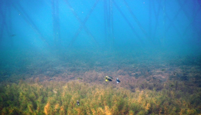 Inilah Keindahan Danau Matano | tempo.co