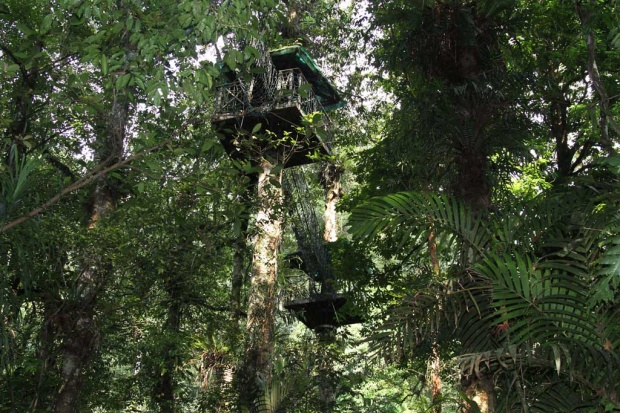 Cikaniki-Citalahab Tropical Forest Tourism Site - En.tempo.co