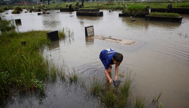 Makam Kebanjiran, Anak-anak Memancing Ikan | tempo.co