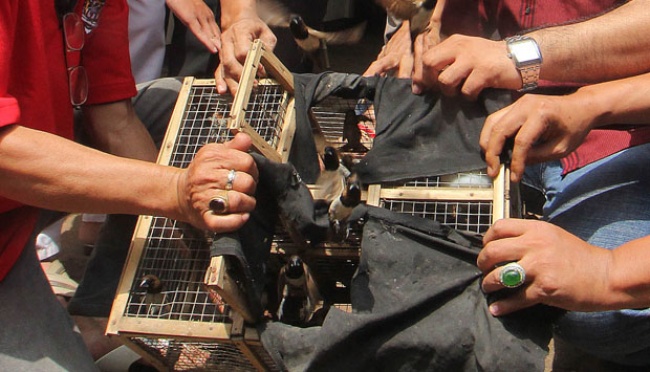Ritual-ritual Perayaan Cap Gomeh di Berbagai Daerah | tempo.co