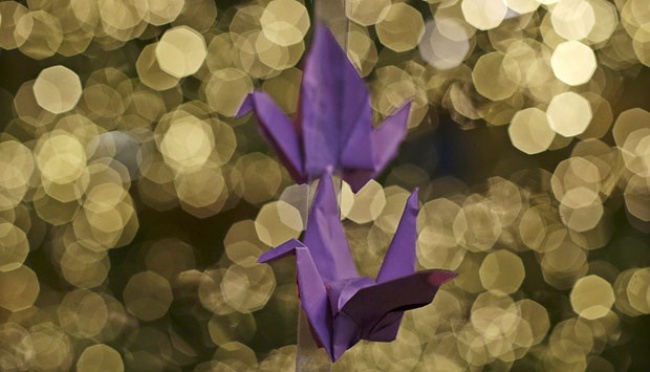 Aksi Origami dan Nyalakan Lilin Untuk Penumpang MH370 | tempo.co