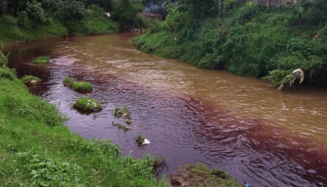 Kisah Citarum, Sungai Paling Tercemar di Dunia | tempo.co