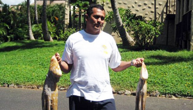 Digigit Hiu Putih, Pria Ini Lolos dari Maut | tempo.co