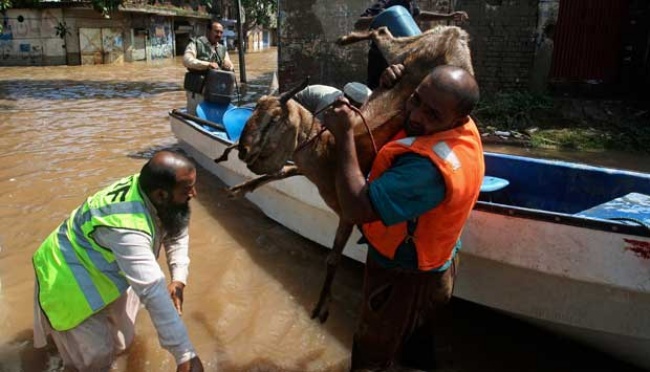 Ratusan Tewas Dalam Tragedi Banjir di Pakistan dan India | tempo.co
