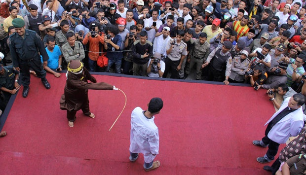 Injudicious - En.tempo.co