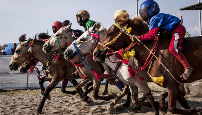 Main Jaran, Tradisi Pacuan Kuda Masyarakat Sumbawa | tempo.co