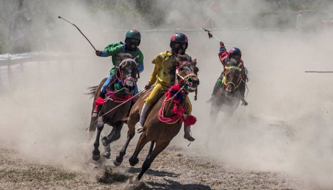 Main Jaran, Tradisi Pacuan Kuda Masyarakat Sumbawa | tempo.co