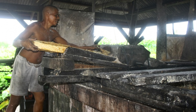 Proses Pembuatan Sagu di Pulau Meranti | tempo.co