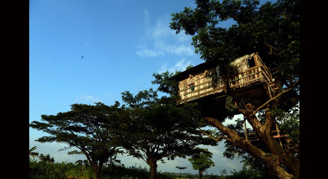 Terbelenggu Kemiskinan, Daeng Norma Nekat Tinggal di Atas Pohon | tempo.co