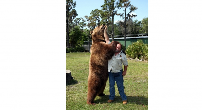 Mengenal Mark Dumas, Sang Penakluk Beruang Kutub | tempo.co