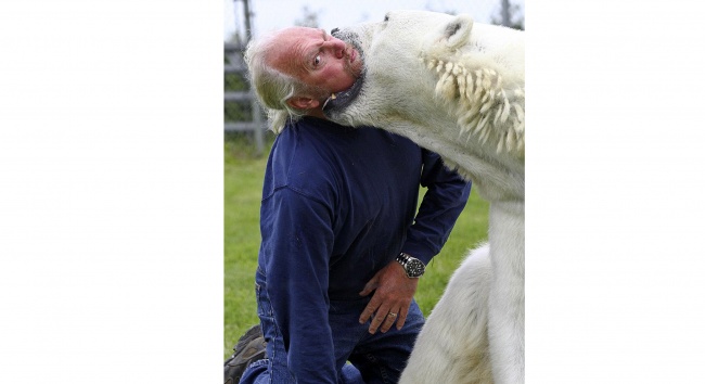 Mengenal Mark Dumas, Sang Penakluk Beruang Kutub | tempo.co