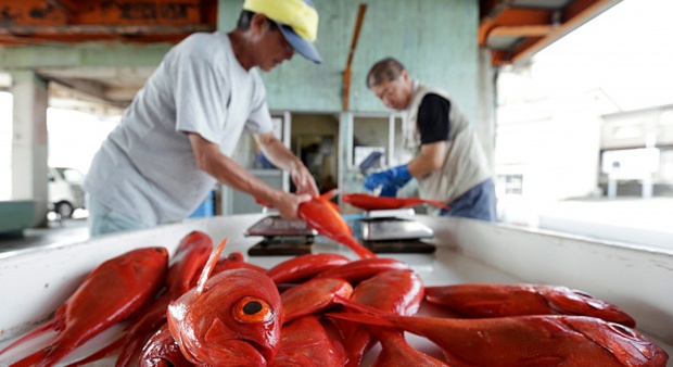 Top 10 Fish-Producing Countries in the World - En.tempo.co