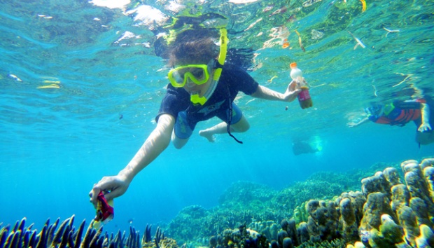Olele Marine Park Expected to become World-Class Destination - Life En ...
