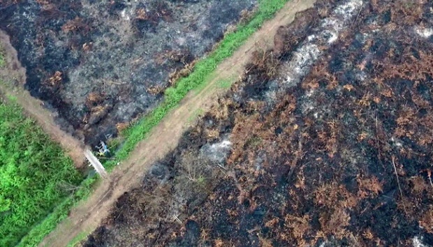 Photos: Vast Forest Fires in Indonesia Spawn Ecological Disaster - Foto ...