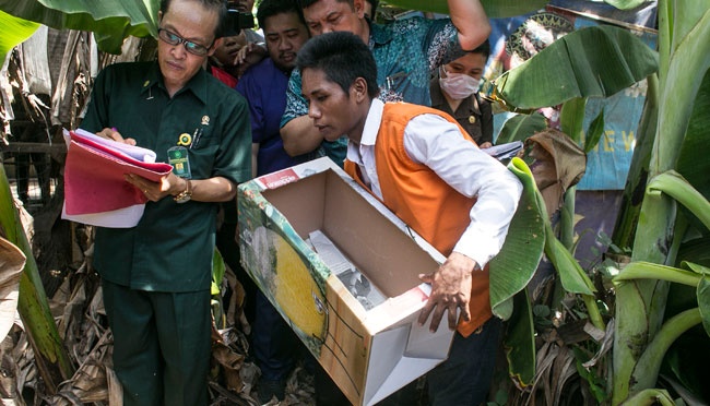 Pembunuhan Engeline, Agus Tay: Tuntutan Jaksa Berat | tempo.co