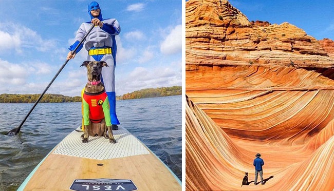 6 Binatang Petualang Paling Terkenal di Instagram | tempo.co