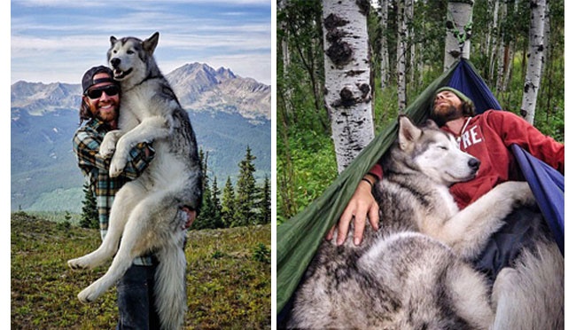 6 Binatang Petualang Paling Terkenal di Instagram | tempo.co