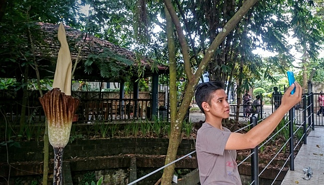 Bunga Bangkai Tertinggi ada di Rumah Perubahan | tempo.co