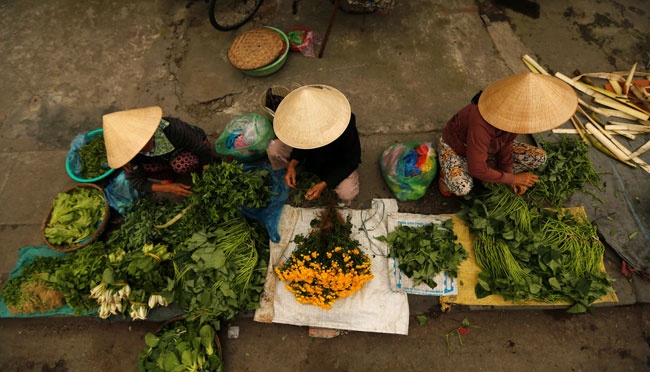 Topi Non La Simbol Pedagang di Kota Hoi An | tempo.co