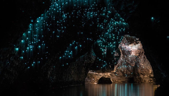 Unik, Ribuan Cacing Mampu Terangi Gelapnya Goa Waitomo | tempo.co