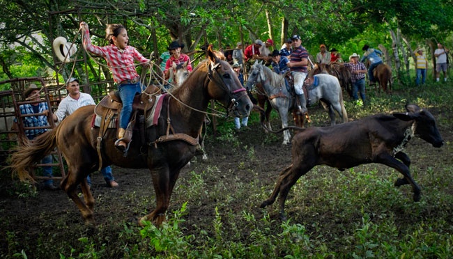 Memperkenalkan Budaya Rodeo pada Anak-anak Sejak Dini | tempo.co