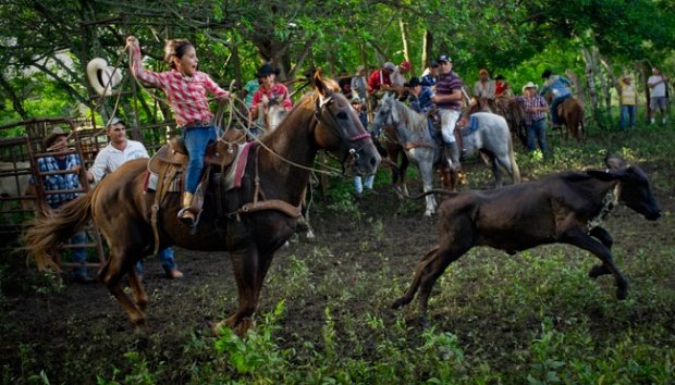 Photos: Cuban Cattle Country Keeps Up Rodeo Traditions - foto En.tempo.co