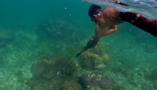 Demi Karang Laut, Begini Cara Nelayan Selayar Tangkap Ikan | tempo.co