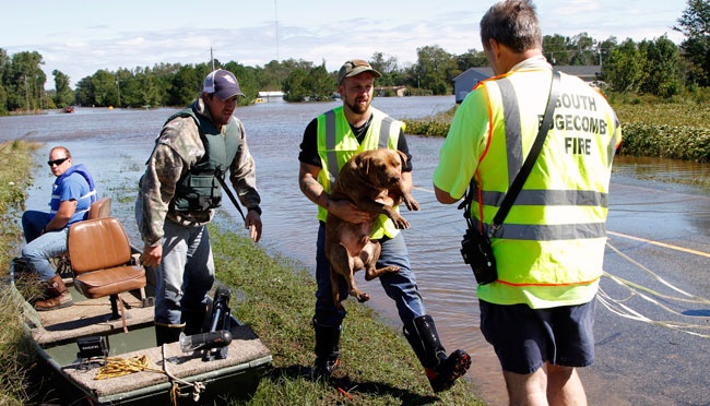 Aksi Heroik Penyelamatan Hewan yang Terjebak Banjir Usai Badai Matthew ...