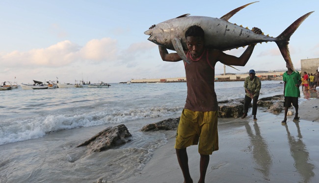 Aksi Para Penangkap ``Monster Laut`` dari Somalia | tempo.co